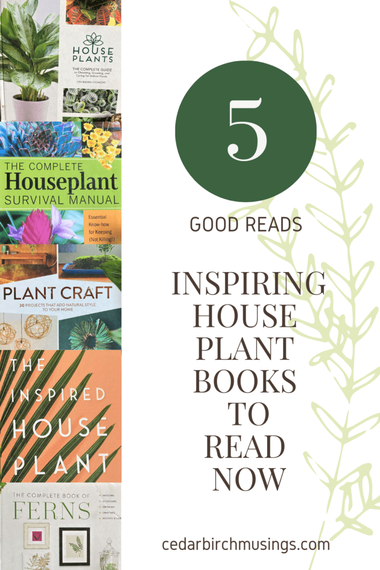 5 Beautiful Inspiring House Plant Books - Cedarbirch Musings