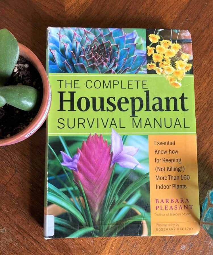 5 Beautiful Inspiring House Plant Books - Cedarbirch Musings
