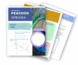 Quick and Easy Animal Study Units - Cedarbirch Musings