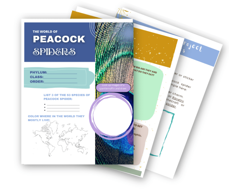 Quick and Easy Animal Study Units - Cedarbirch Musings